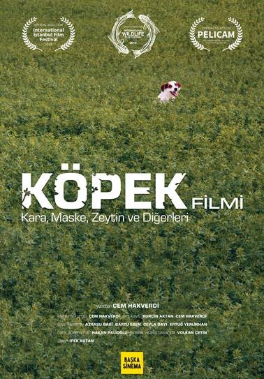 Köpek Filmi - BAŞKA SİNEMA
